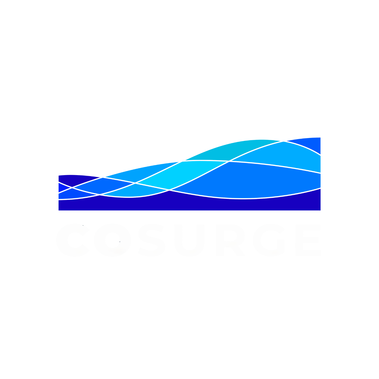 Thick Logo with White – CoSurge CPAs